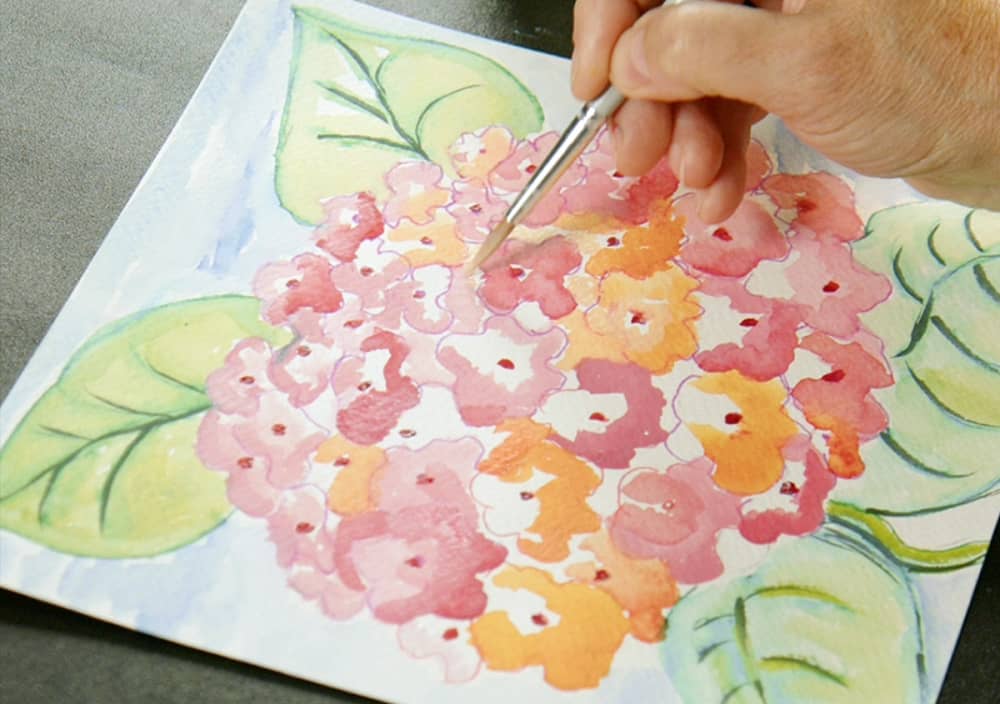 Watercolor Hydrangea - Cupixel