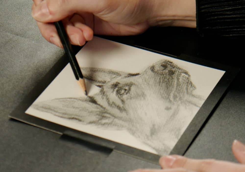 Sketching Einstein - Cupixel