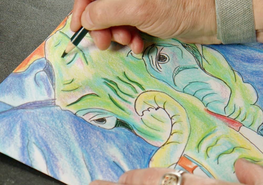 Elephant Thoughts - Cupixel