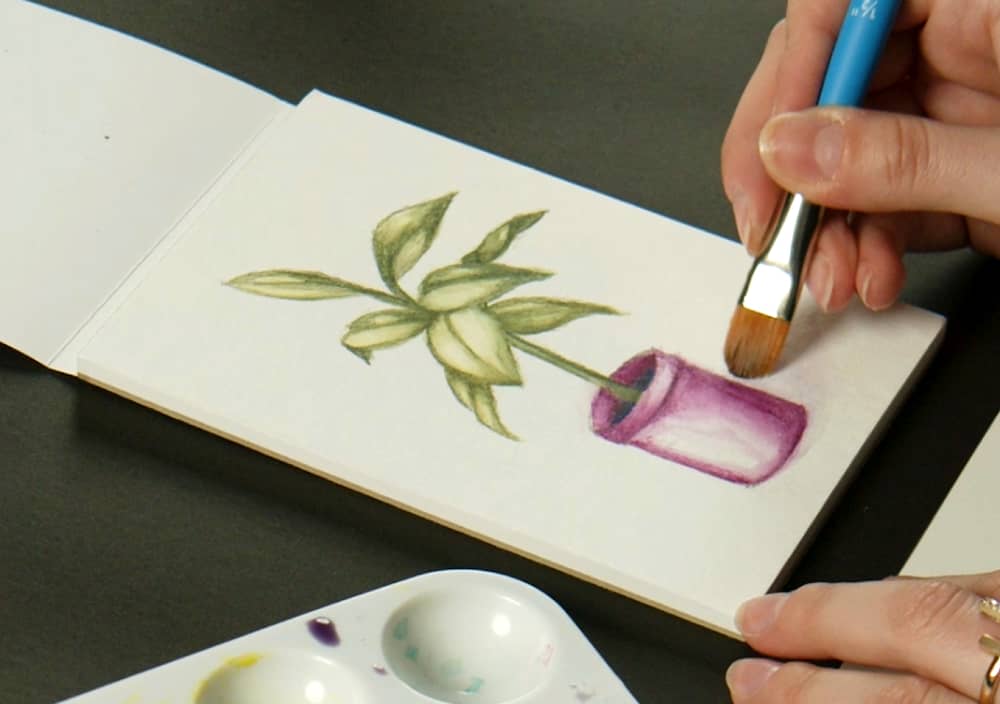 January 2023: Plant Collection - Cupixel