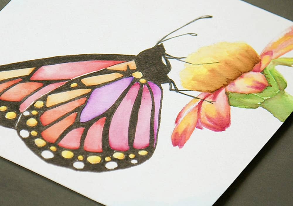 Butterfly Landing - Cupixel