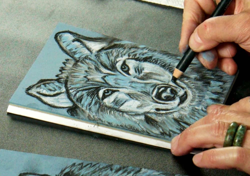 Sketching Einstein - Cupixel