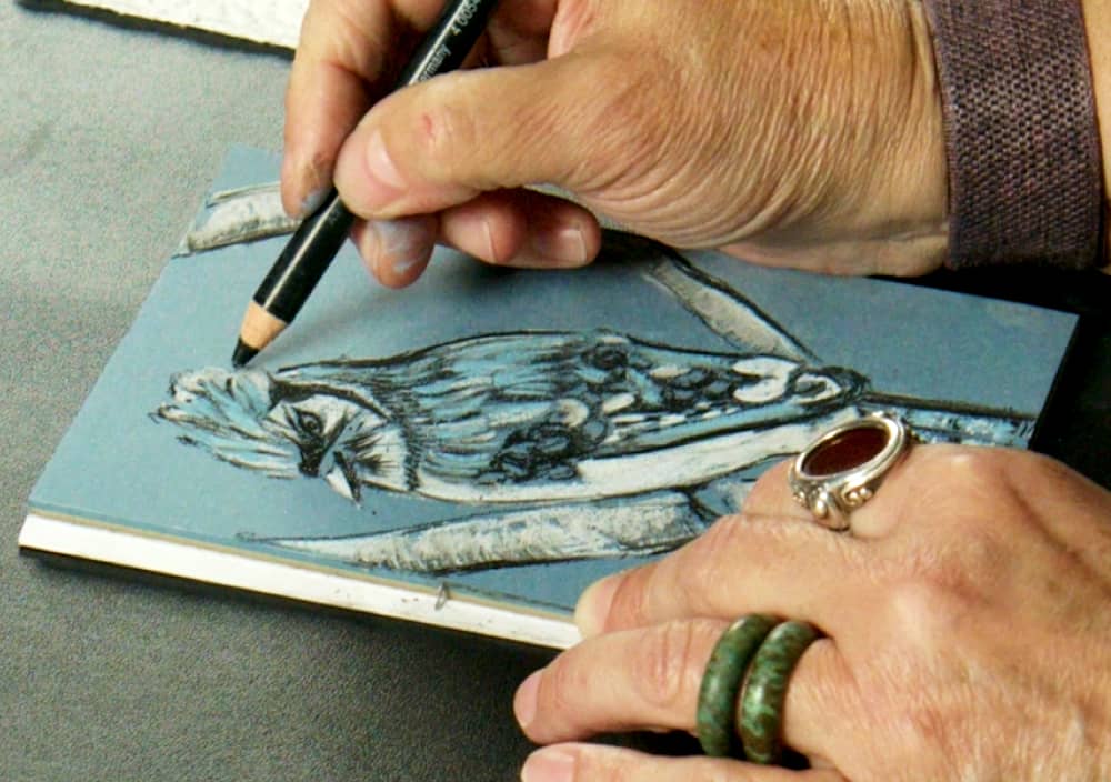 Sketching Einstein - Cupixel