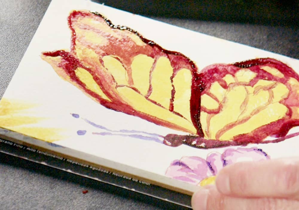 March 2023: Butterfly - Cupixel