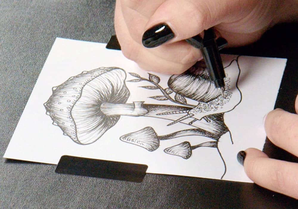 Mushroom & Snail Ink Illustration - Cupixel