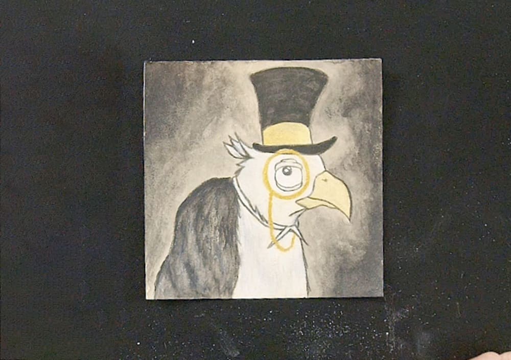 May 2023: Dr. Bird - Cupixel