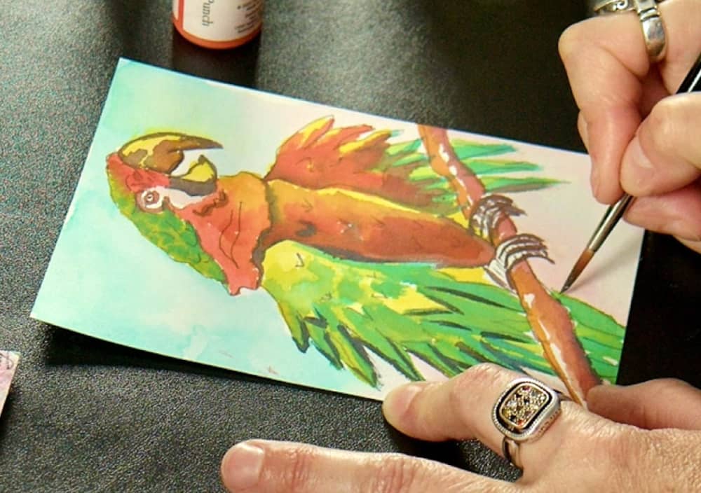 June 2023: Colorful Macaw - Cupixel