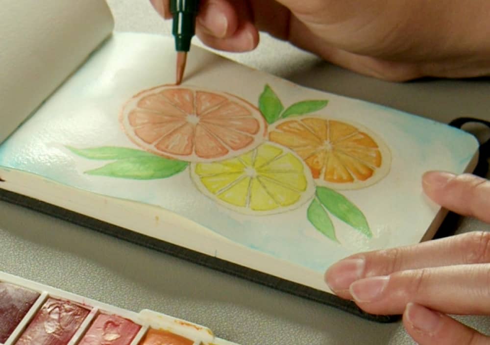 July 2023: Citruses - Cupixel