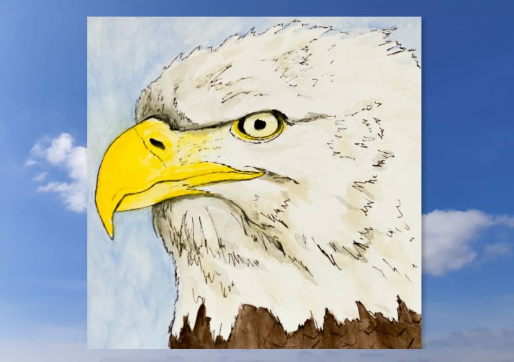 Project A Photo: Eagle - Cupixel