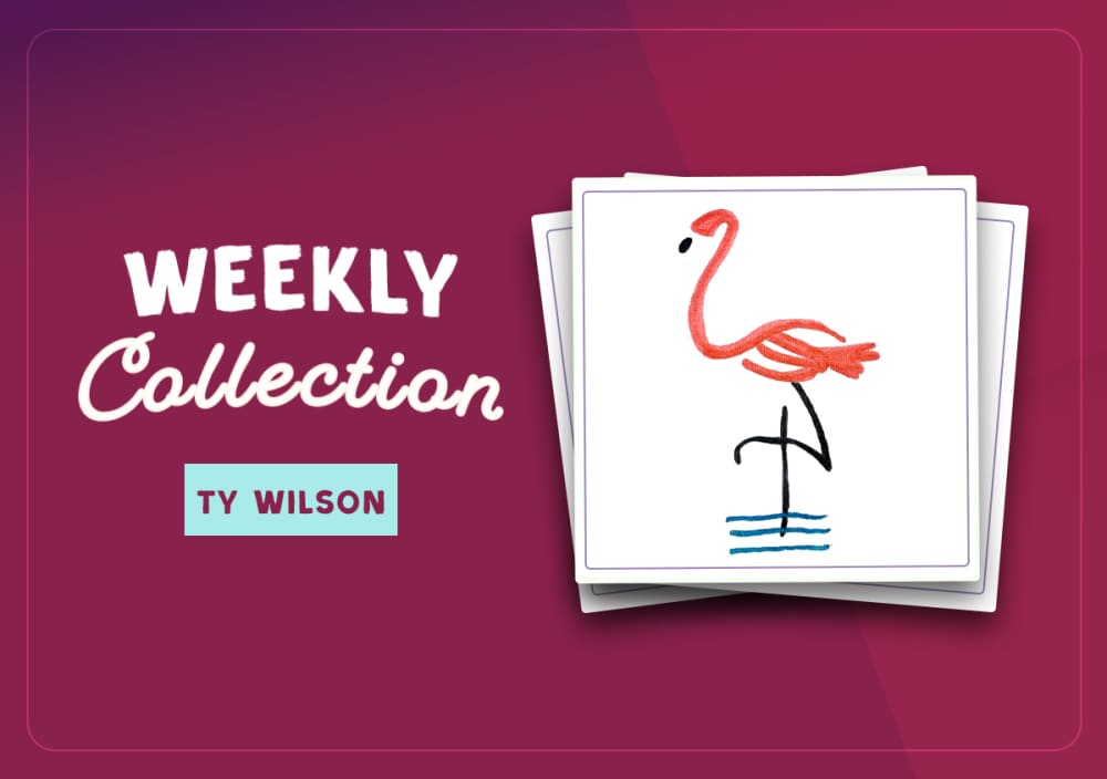 The Animal Collection By Ty Wilson - Cupixel