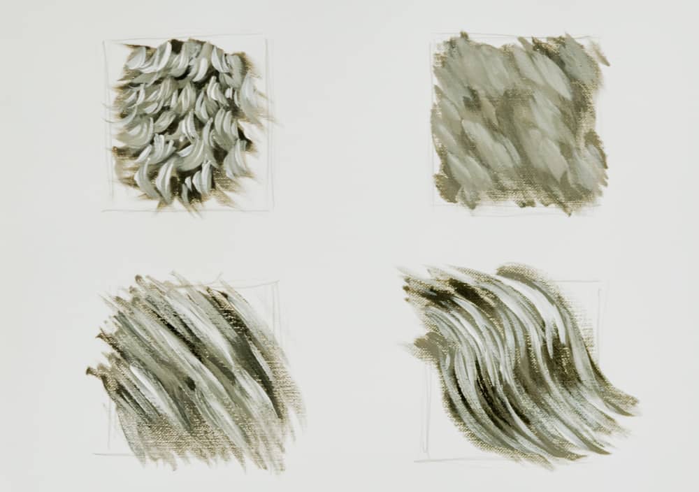 Pet Portrait Part 5: Fur Texture - Cupixel