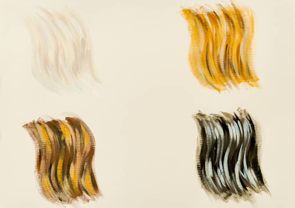 Pet Portrait Part 6: Fur Color - Cupixel