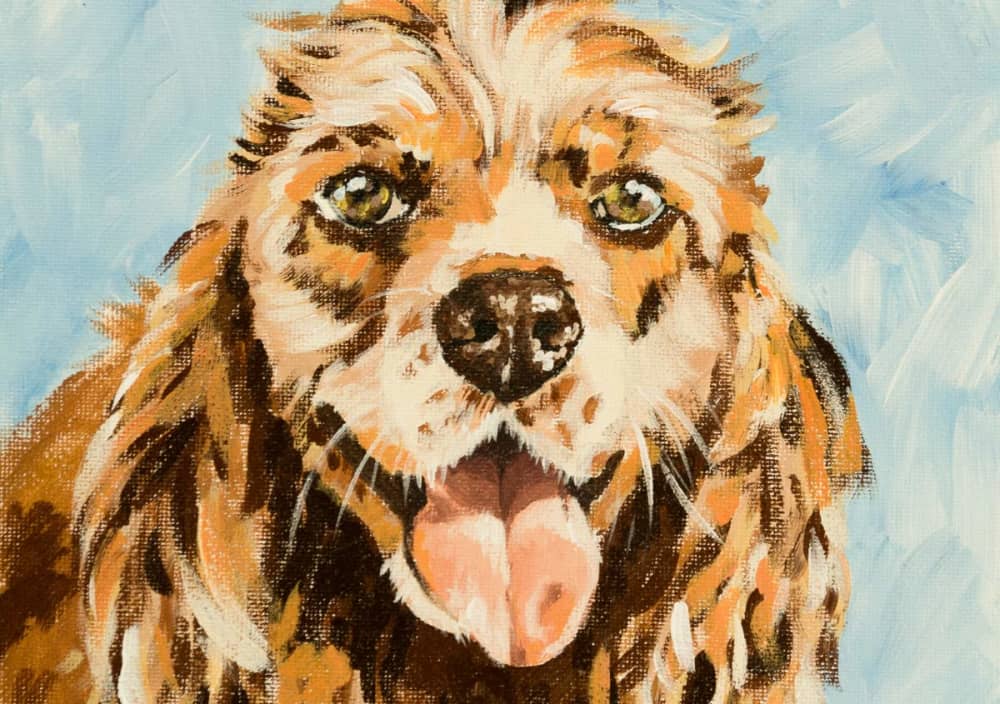 Acrylic Pet Portrait Course: Happy Spaniel Dog - Cupixel