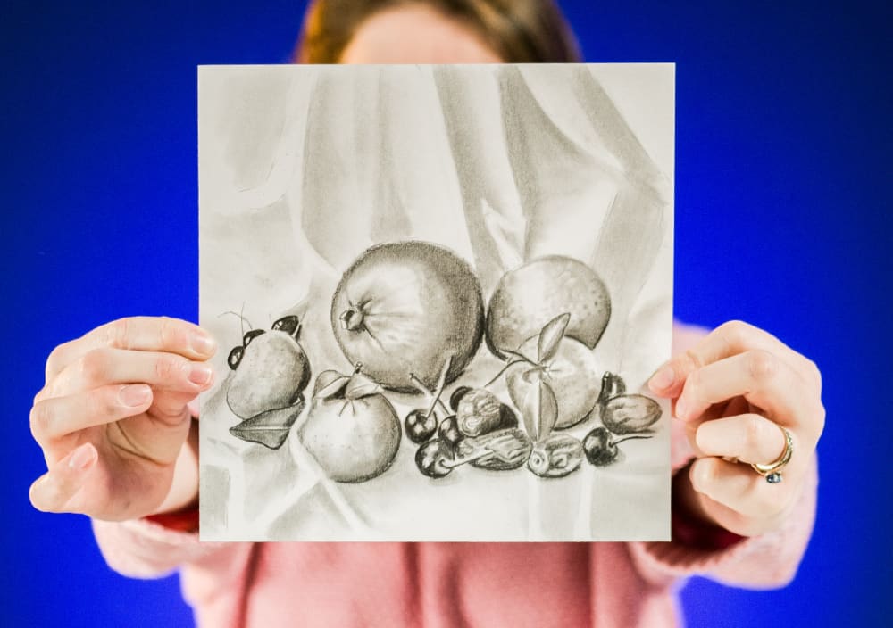 Pencil Still-Life: Fruits On Fabric - Cupixel