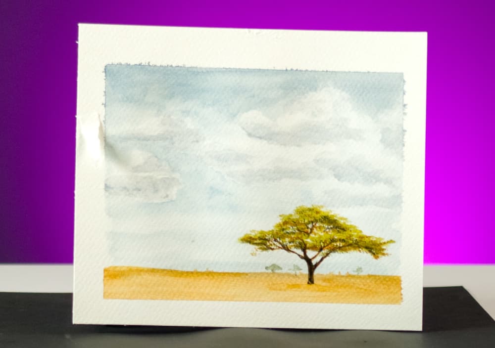 Acacia Tree Minimalistic Landscape - Cupixel