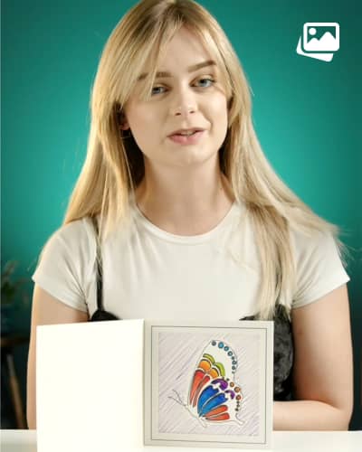 Butterflies - Cupixel