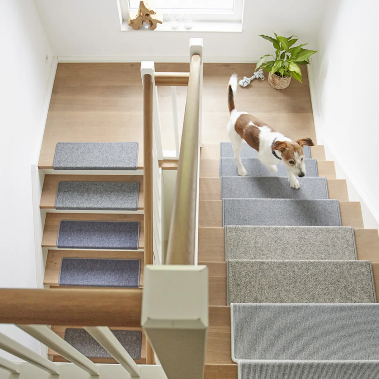Custom Rug & Carpet Runners | sisalcarpet.com