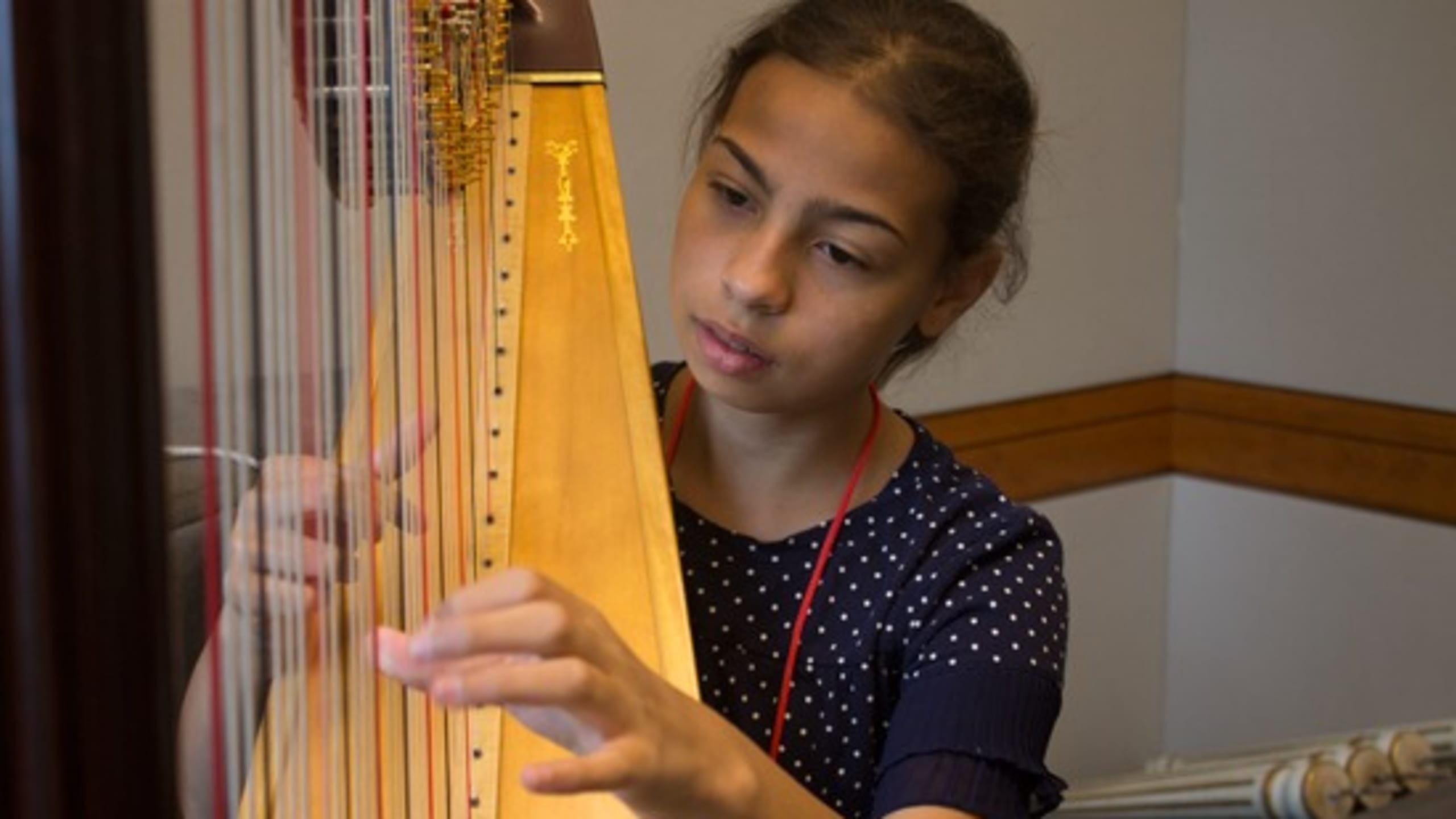The Elizabeth Hainen Harp Colony is here! - Curtis Institute of Music