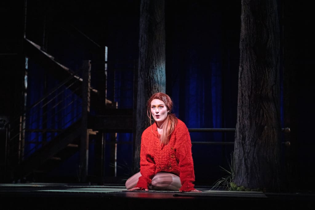 Curtis Opera Theatre: "The Cunning Little Vixen" (Photo Roundup ...