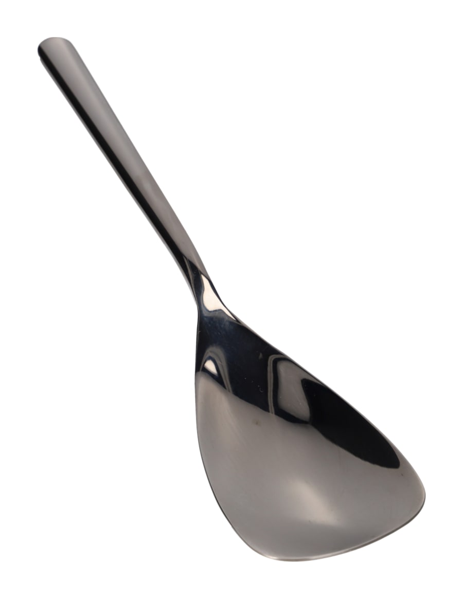 Silver Serving Spoon 26cm | Danny Home