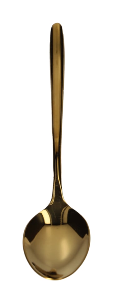 Stainless Steel Dinner Spoon 21.8cm | Danny Home