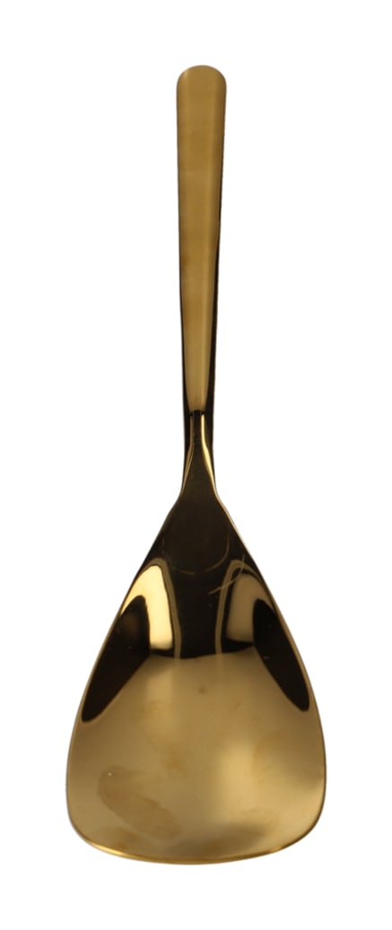 Stainless Steel Service Spoon 26.1cm | Danny Home
