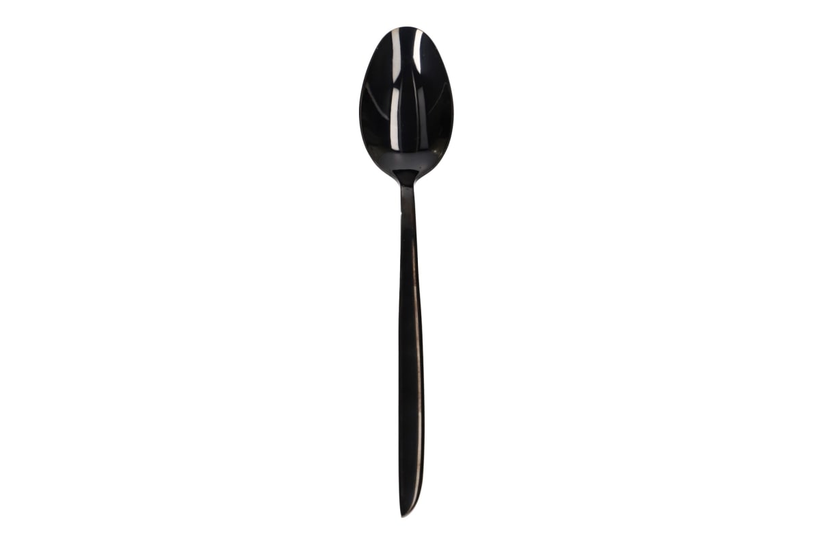 Black Dinner Spoons 6Pcs 20.4cm | Danny Home