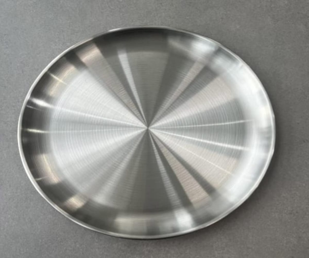Stainless Steel Dinner Plate 26.2cm | Danny Home