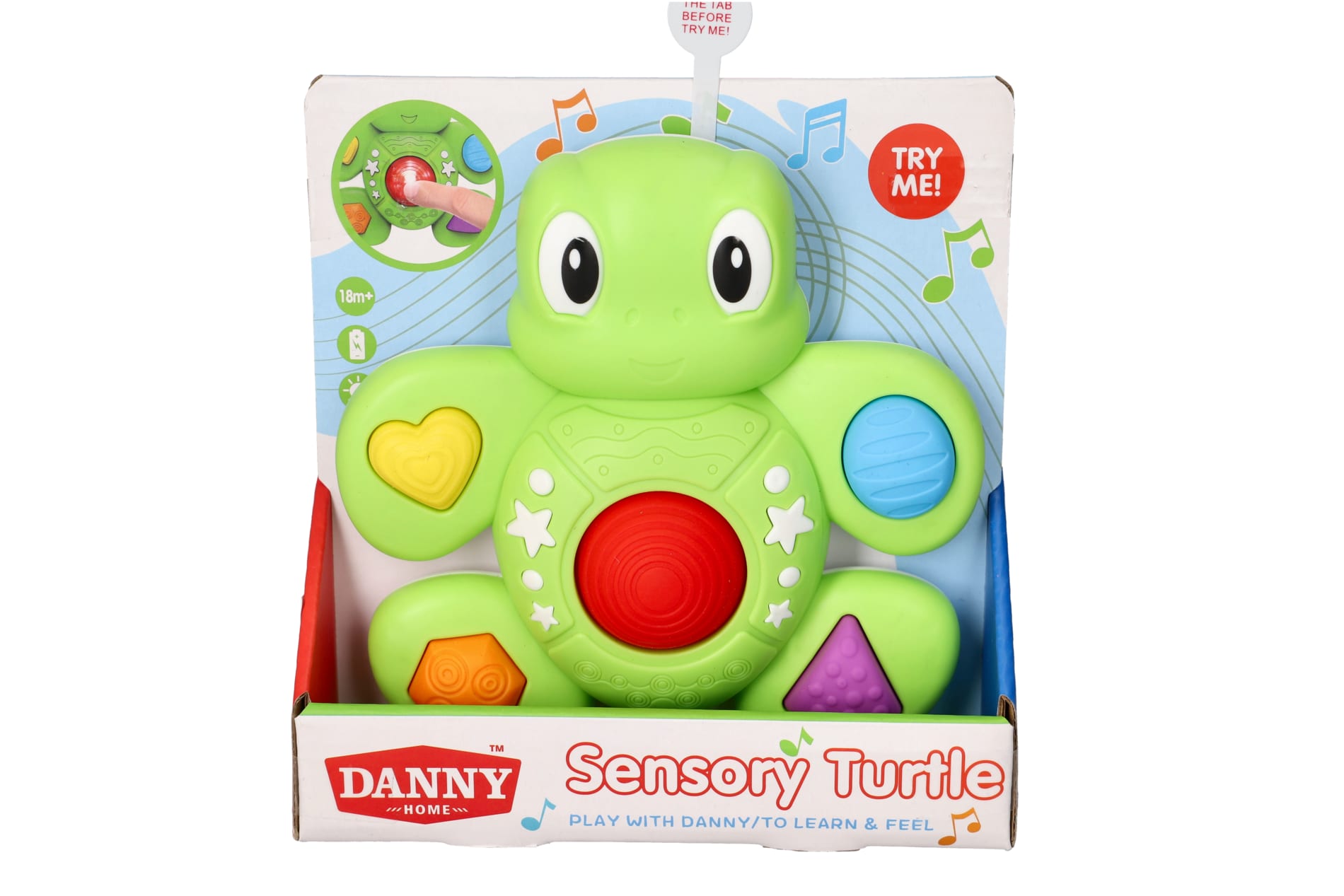 Sensory Turtle | Danny Home