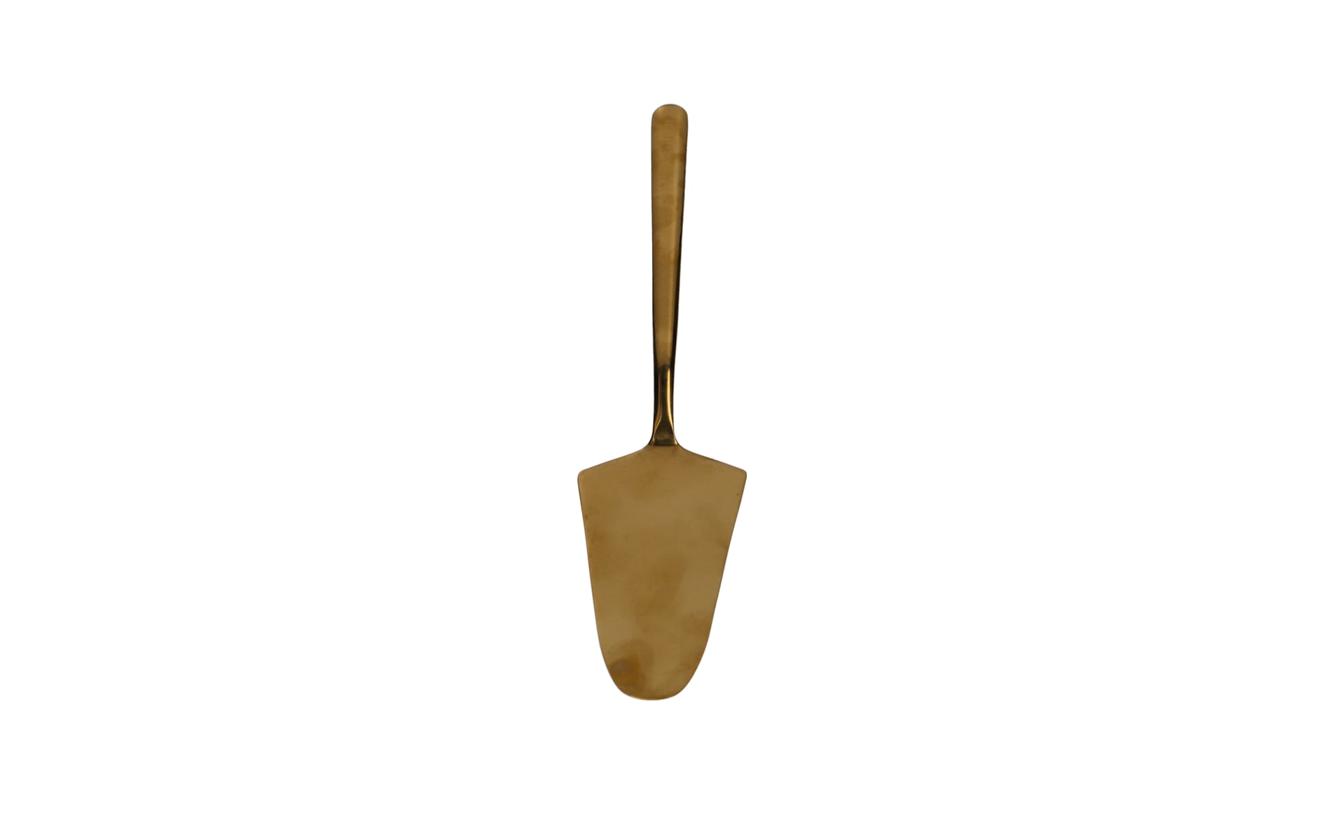 Stainless Steel Cake Shovel 26.5cm | Danny Home