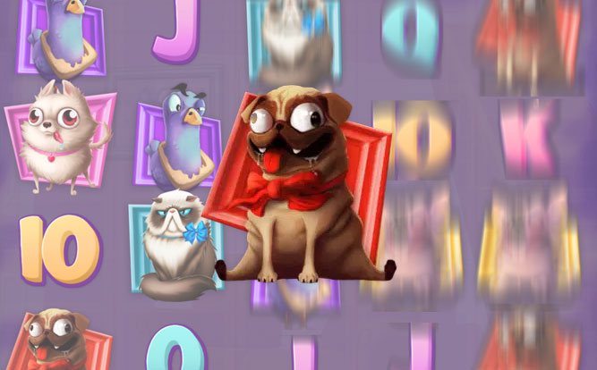 Pug Life slot demo gratis (Hacksaw Gaming)