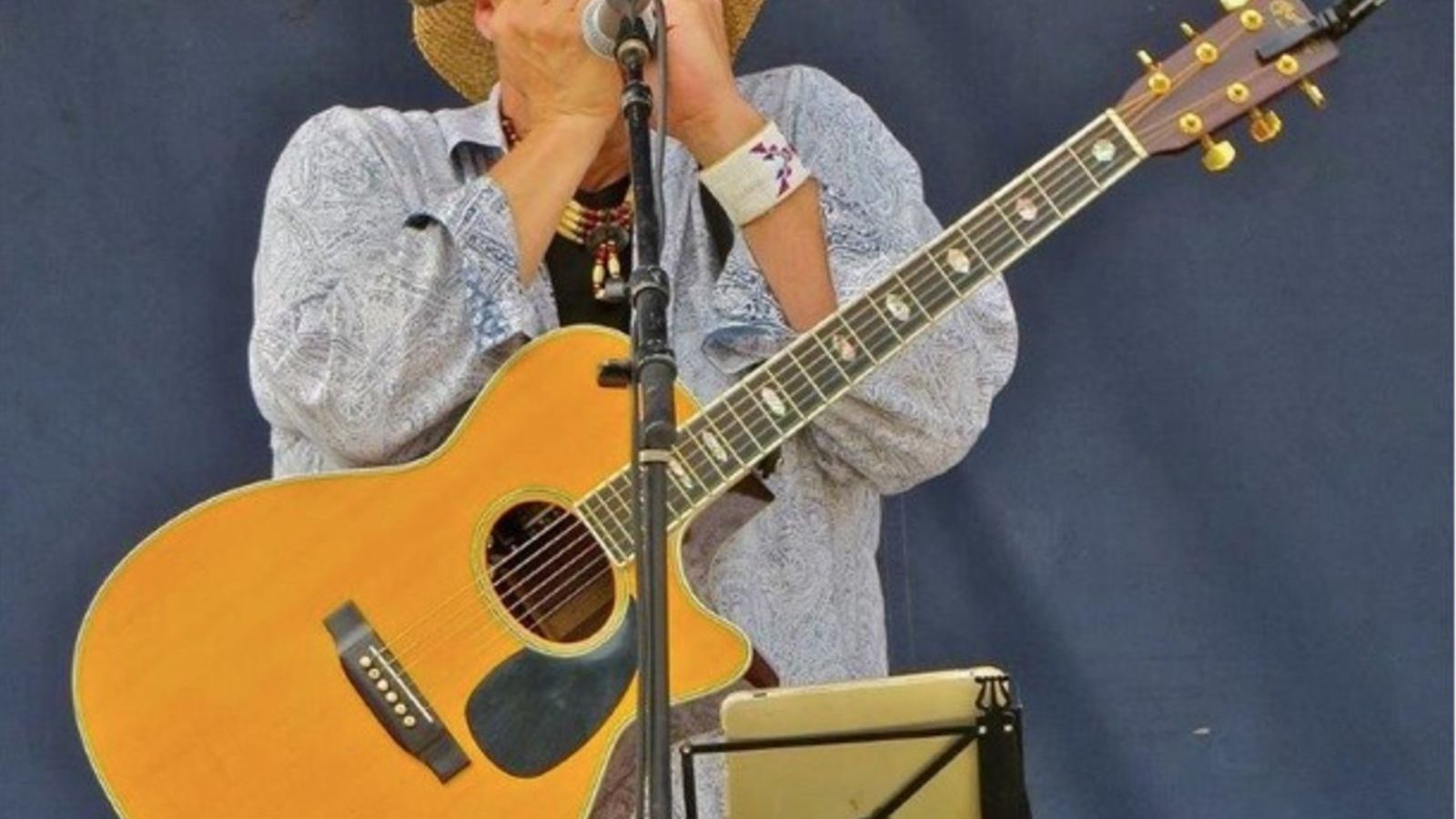 Mark Cleveland Band :: Downtown Minocqua