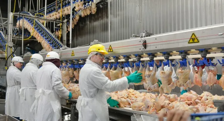 Pilgrim’s invertirá 1300 millones de dólares y su planta de Querétaro ...