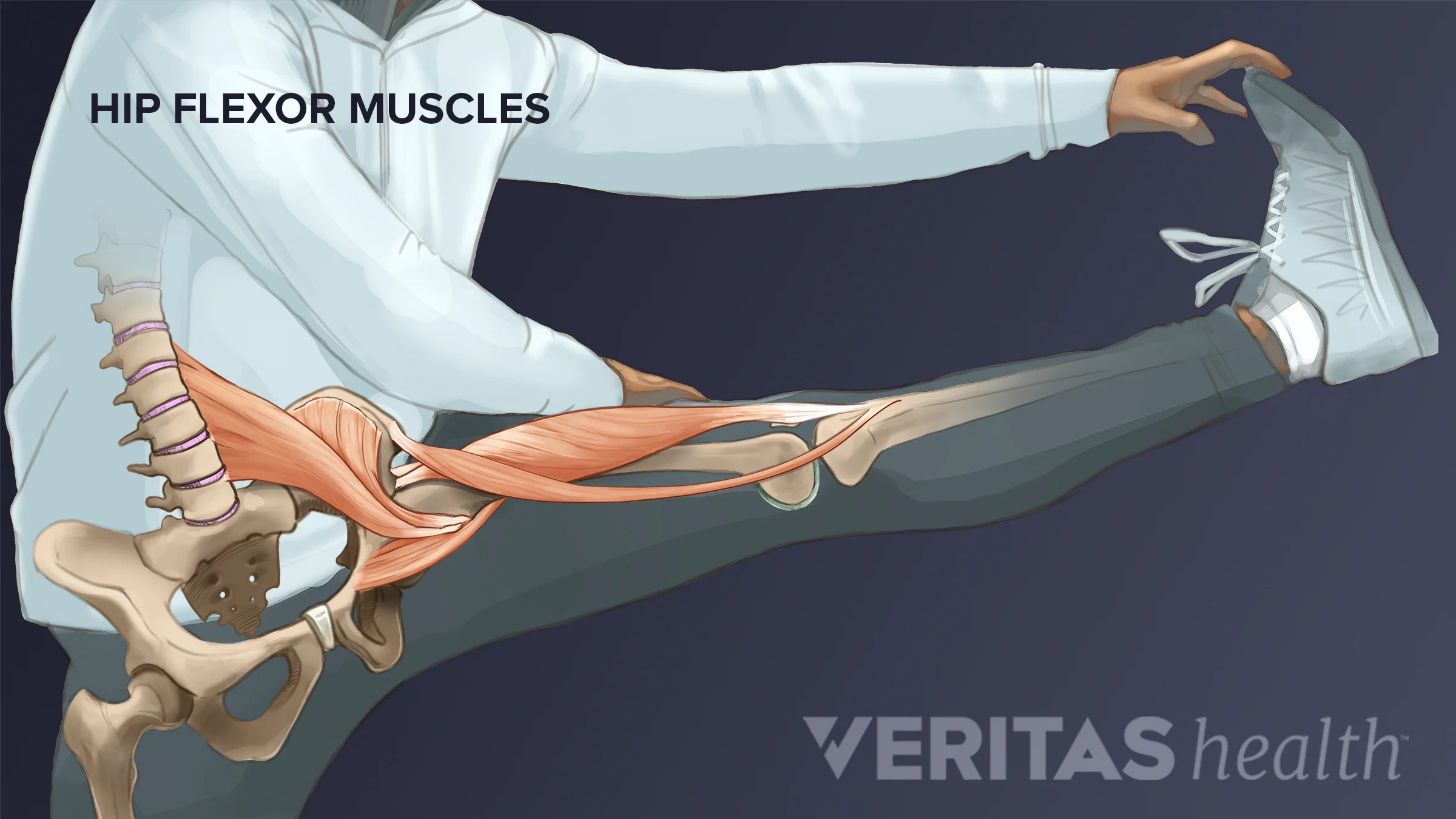 Understanding Hip Flexor Pain | Sports-health