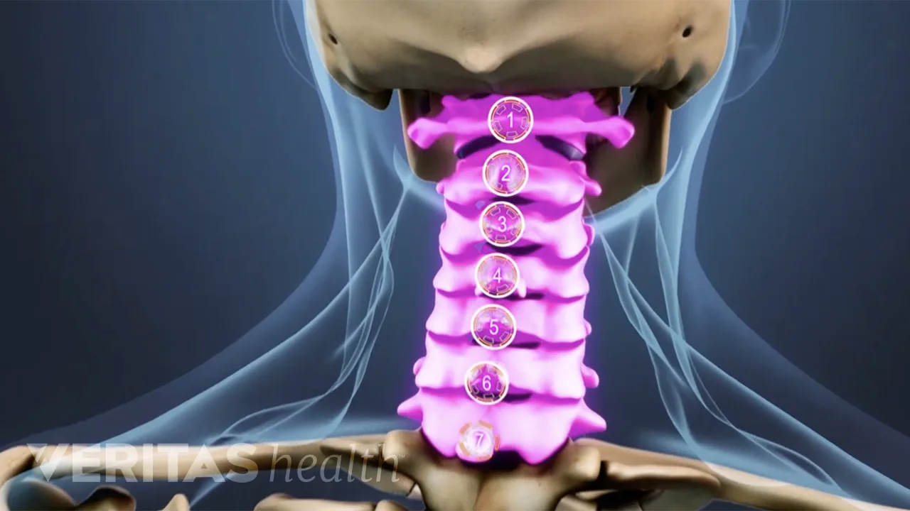 How the Cervical Spine Changes With Age | Spine-health