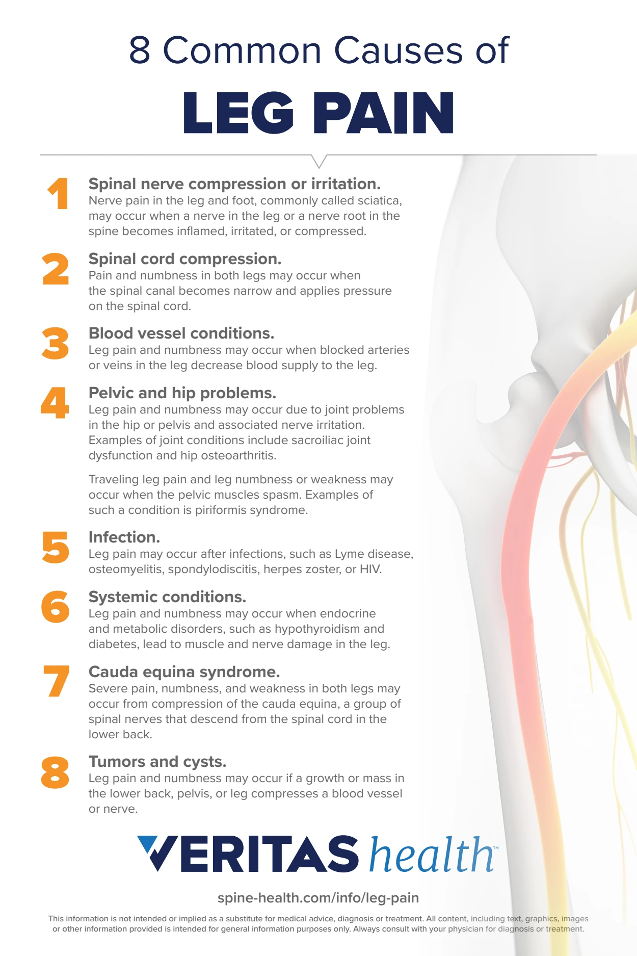 8 Causes of Leg Pain Infographic | Spine-health