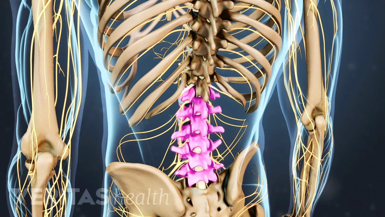 Understanding Lower Back Anatomy | Spine-health