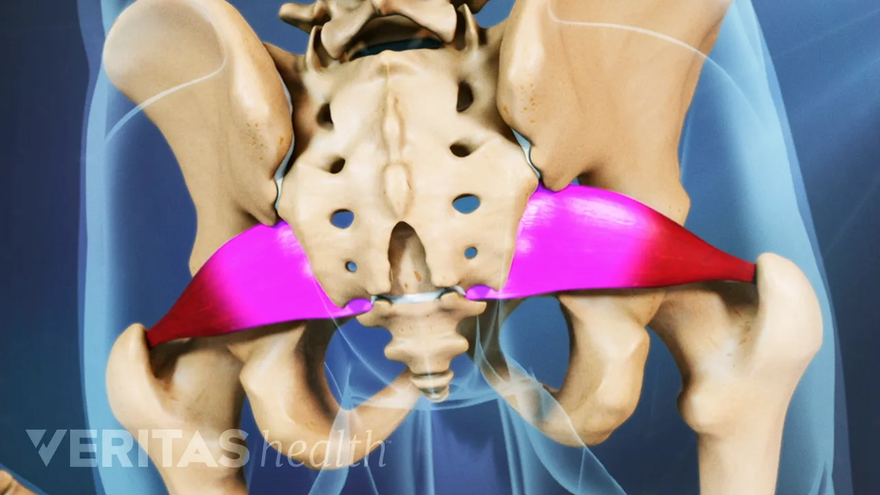 What Is Your Piriformis Muscle and Why Does It Hurt So Much? | Spine-health
