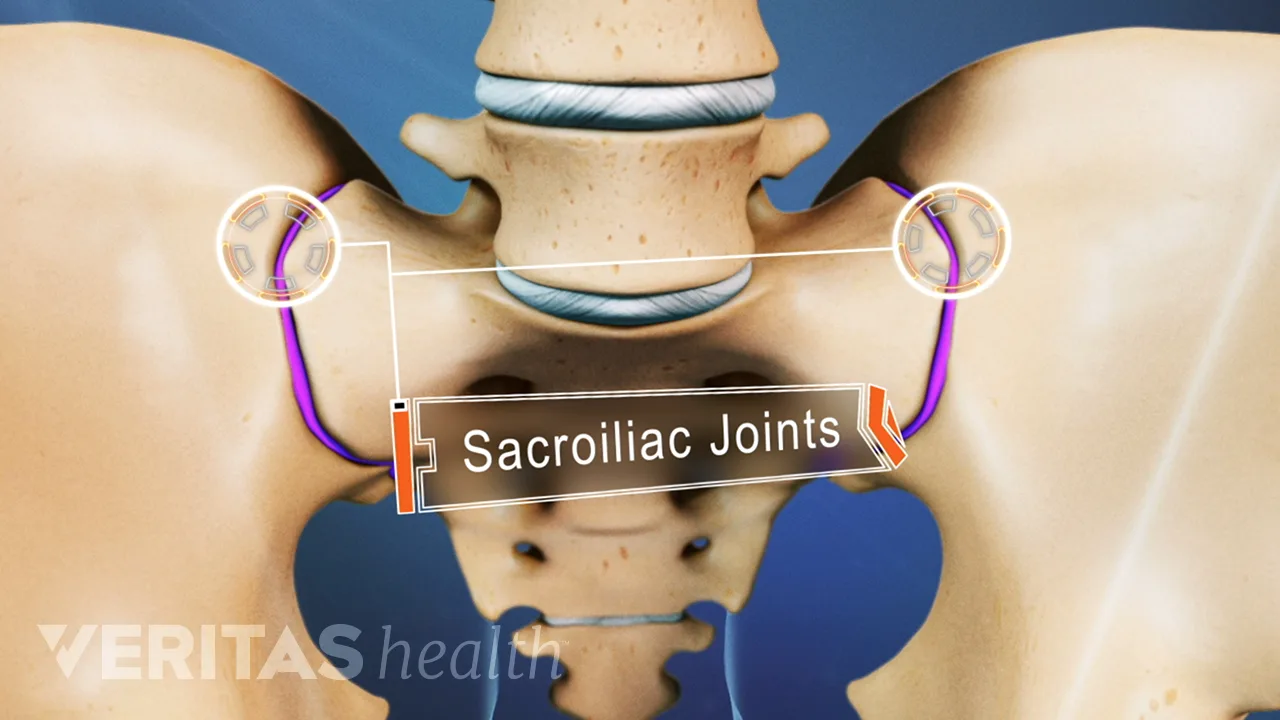 Sacroiliac Joint Anatomy Spine Health