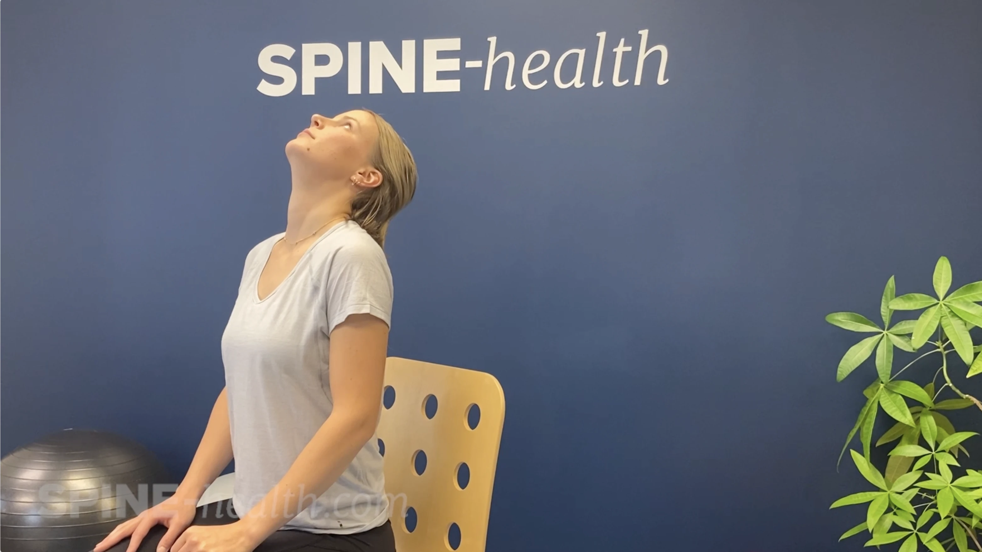 McKenzie Method Exercises for Neck and Arm Pain Video | Spine-health