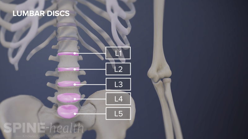 Lumbar Spine Anatomy Video | Spine-health