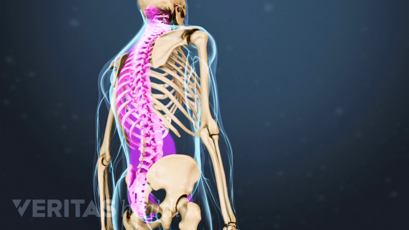 Spine Anatomy Overview Video | Spine-health