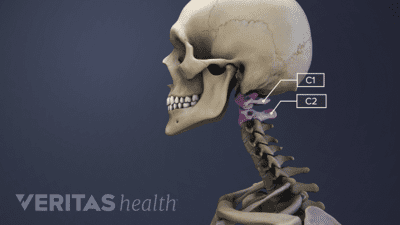 Spinal Motion Segment: C1-C2 (Atlantoaxial Joint) Animation