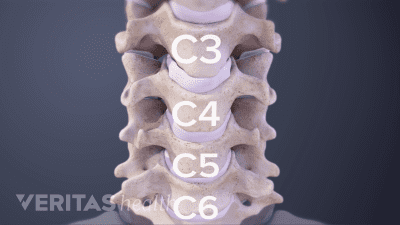 Cervical Disc Anatomy Animation