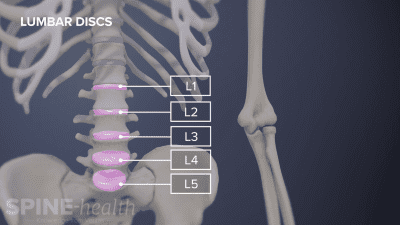 Lumbar Spine Anatomy Video