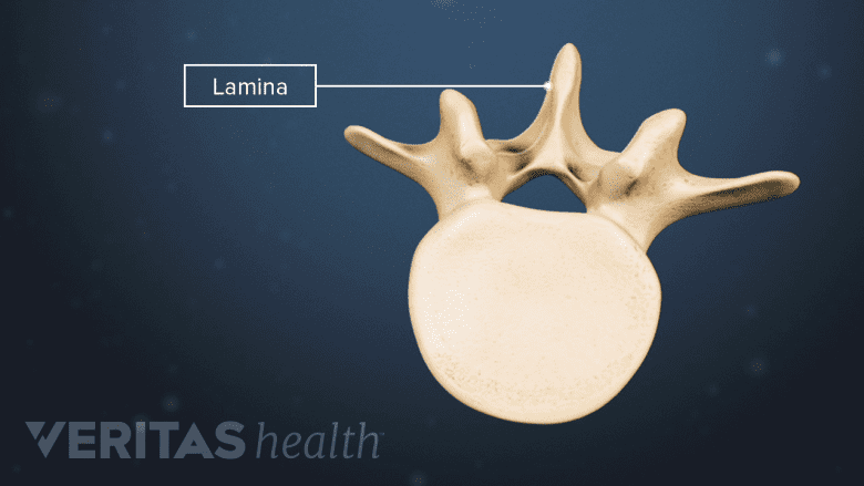 Types of Lumbar Spine Surgeries: What You Need to Know
