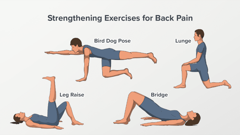 Back Muscles and Low Back Pain | Spine-health