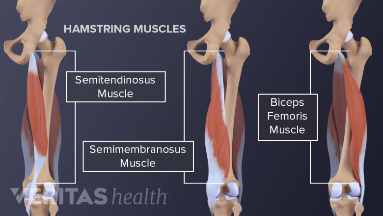 Why Does My Lower Back and Hip Hurt? | Spine-health