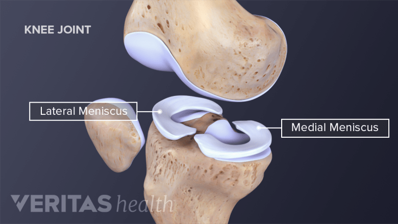 Knee Anatomy | Arthritis-health