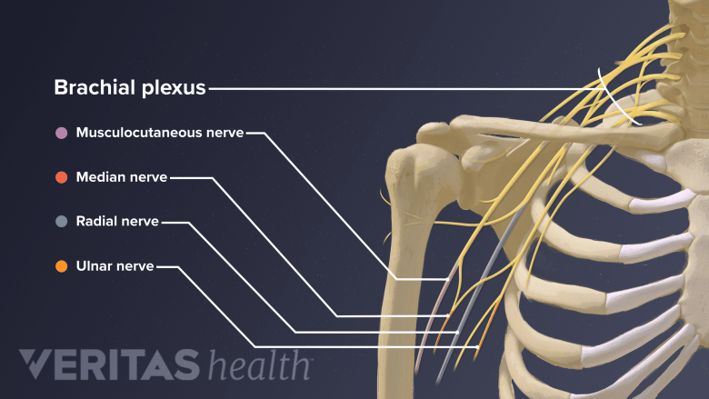 What Causes Neck and Shoulder Pain? | Spine-health